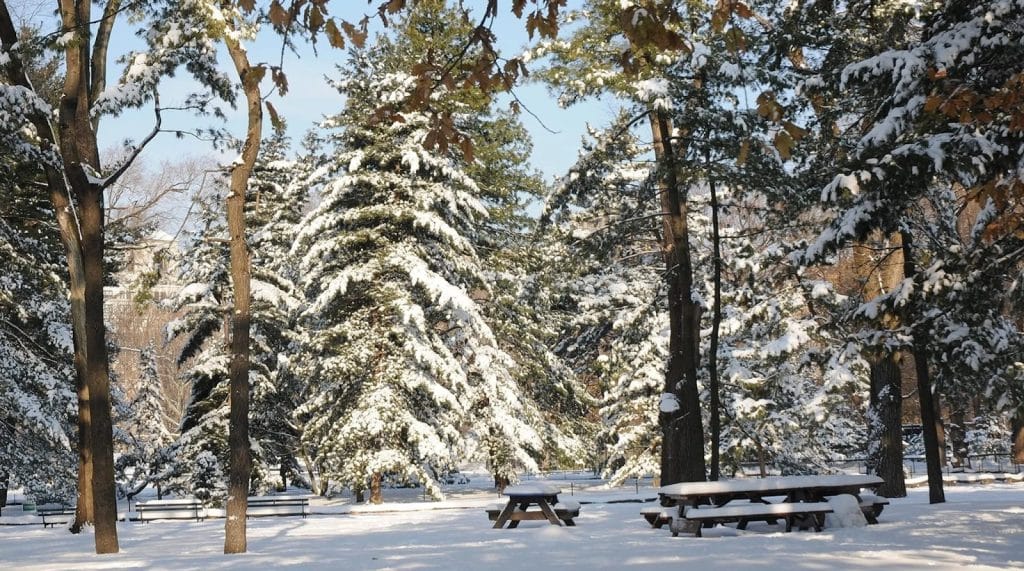 Visiting Central Park in the Winter: What to See and Do • Over Here New ...