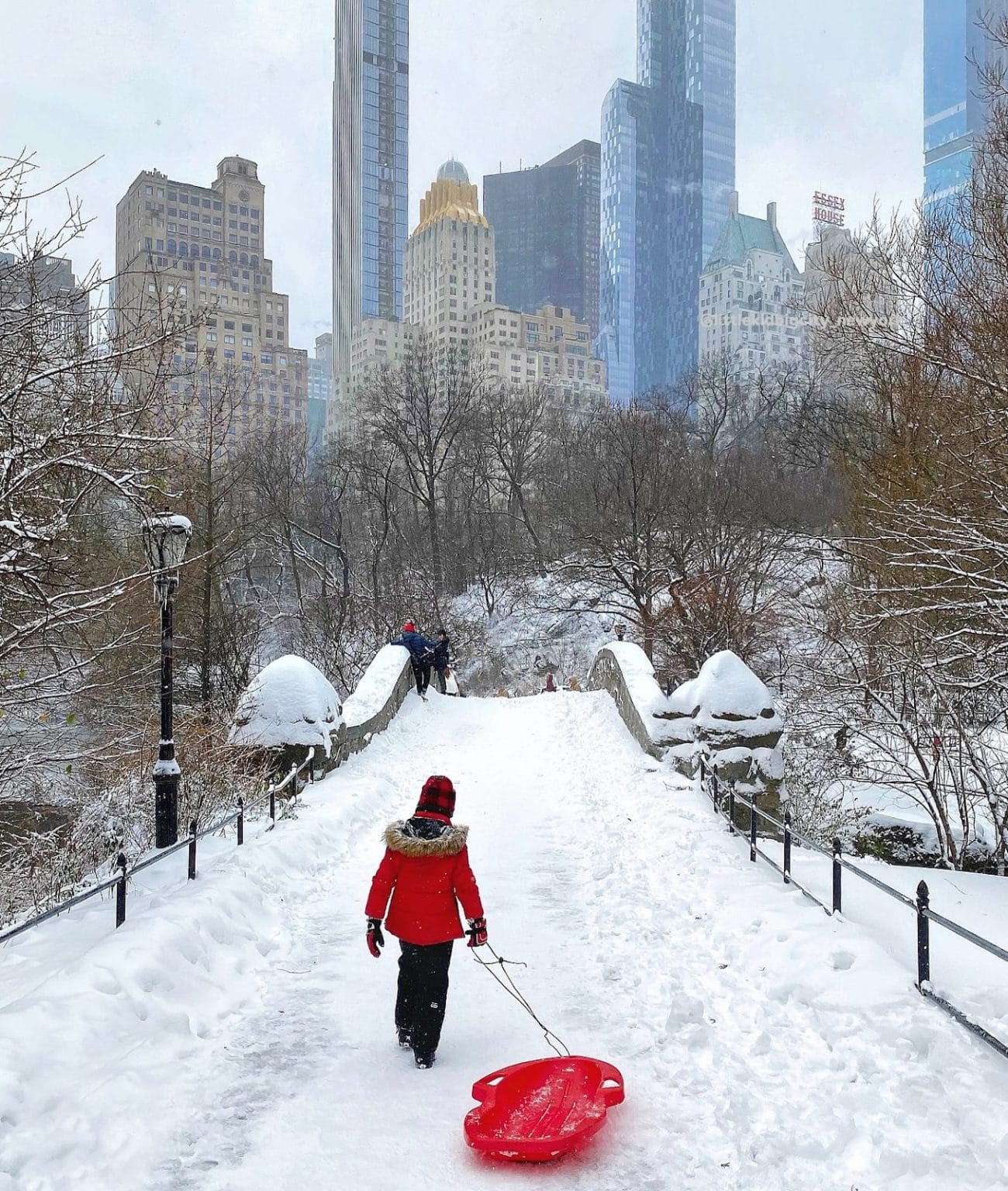 Visiting Central Park in the Winter: What to See and Do • Over Here New ...